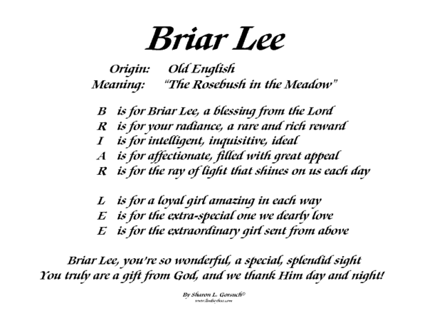 Meaning of Briar Lee - LindseyBoo
