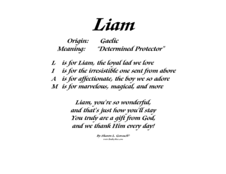 Meaning of Liam - LindseyBoo