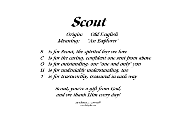 Meaning of Scout - LindseyBoo