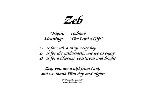 Meaning of Zeb - LindseyBoo