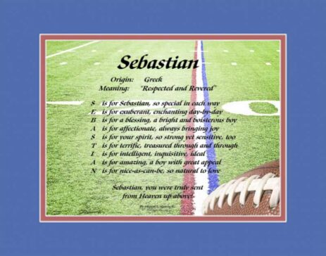 Sebastian - Boy's name meaning, origin, and popularity | Lindseyboo
