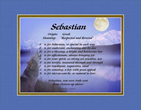 Sebastian - Boy's name meaning, origin, and popularity | Lindseyboo