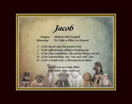 Jacob - Boy's name meaning, origin, and popularity | Lindseyboo